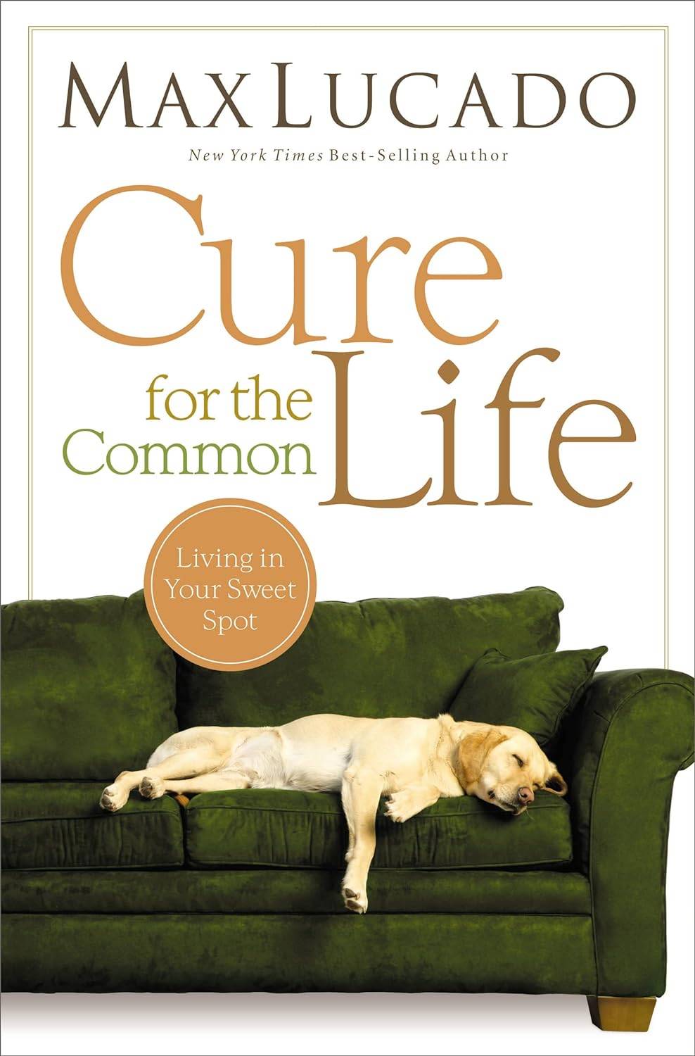 Book Review: Cure for the Common Life – Teens4Jesus Youth Ministries