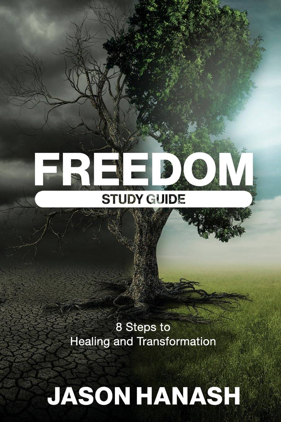 Book Review: Freedom Study Guide – Teens4Jesus Youth Ministries