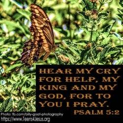 Devotion: Psalm 5:2 – Teens4Jesus Youth Ministries