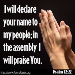 Devotion: Psalm 22:22 – Teens4Jesus Youth Ministries